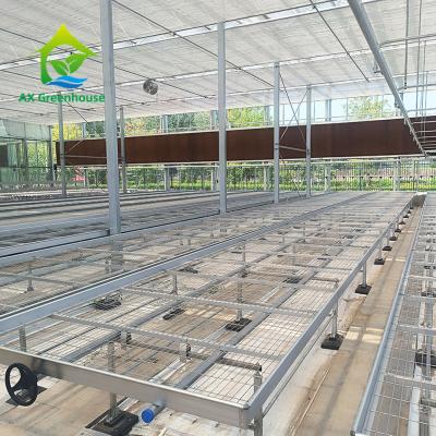 China Customized Greenhouse Rolling Bench Grow Table with Easy Construction Advantage and Hot Galvanized Steel Frame Structure for sale