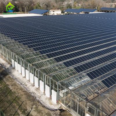 China Modern intelligent Venlo polycarbonate panel multi-span solar photovoltaic greenhouse for sale