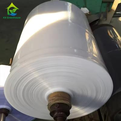 China Greenhouse Cover Transparent Plastic PE Film for sale