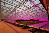 China 110L Automatic Fertilizing Machine Integration Irrigation Fertilization System for sale