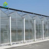 China Multispan PC Sheet Greenhouse for sale