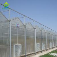 China Multispan PC Sheet Greenhouse for sale