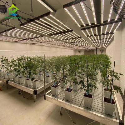 China Stable Eco Friendly Greenhouse Rolling Benches with ABS Plastic Sheet and Aluminum Alloy Frame in Customizable Sizes for sale