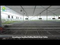 Wire Mesh Grow Table And Ebb Flood Rolling Bench Grow Table for Greenhouse