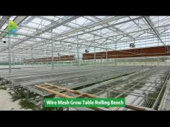 Adjustable Wire Mesh Rolling Benches 4x8 Ebb And Flow Table