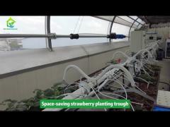 Strawberry Planting Trough