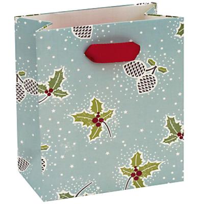 China paper bag for sale