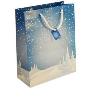 China art paper bag for sale