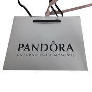 China fashionable paper bag for sale