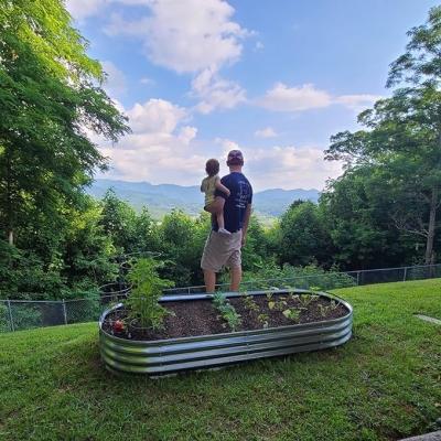 Cina Kit per il letto di giardino per verdure 5 * 3 * 1 Ft Galvanizzato Metallo piantare scatole progettate per facile fai-da-te e pulizia in vendita