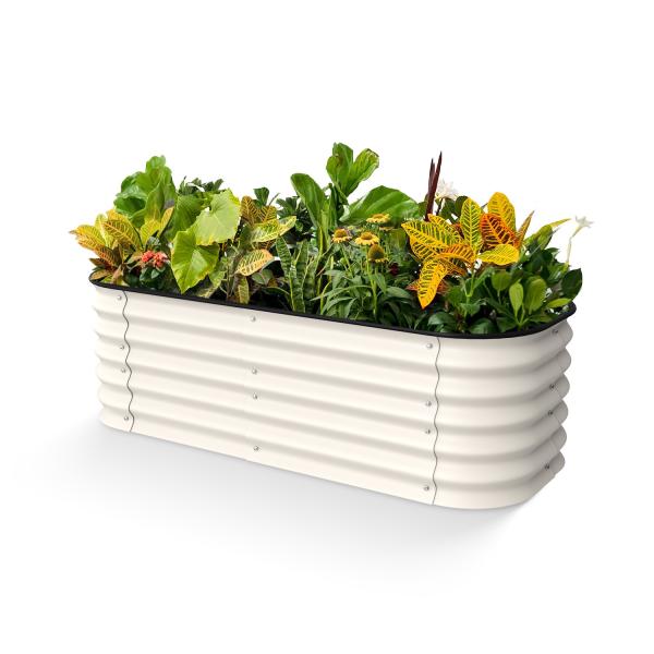 Quality Ivory White Oval Galvanized Vegetable Planters 5*2*1.5ft Corrosion Resistance for sale