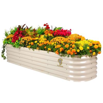 China 8*2*1.5 Ft Modular Aço Galvanizado Oval Erguido Cama de Plantação de Jardim Para Flores à venda
