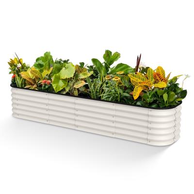 China 8*2*1.5 Ft Modular Aço Galvanizado Oval Erguido Cama de Plantação de Jardim Para Flores à venda