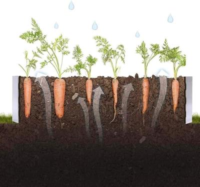 China 2FT (L) × 2FT (W) × 0,67FT (H) Caixas de plantação de aço galvanizado Alta resistência à venda