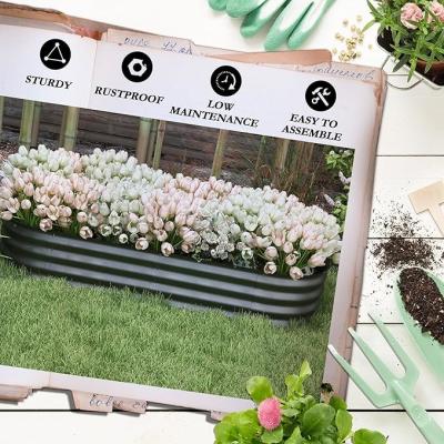 China Oval donkergrijze gegalvaniseerde verhoogde tuinbedden Outdoor voor groenten Te koop