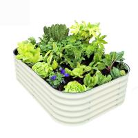 Quality Oval Galvanized Raised Garden Bed Kit for sale