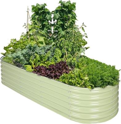 Cina Giardino 17