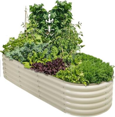 China 6.4*2*1.4 Ft Ronde verhoogde tuinbed gegalvaniseerde planter verhoogde bedden metalen verhoogde tuinbedden buiten voor groenten Te koop