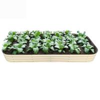 China 7.9*3.4*0.92 FT Oval Double Layer Galvanized Raised Bed Planters Solid Pattern for sale