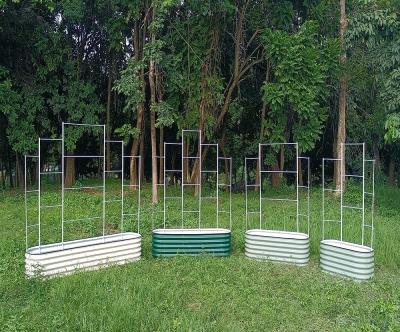 Cina 6.5ft*6ft Cucumber Metal Trellis For Raised Bed Metal Garden Trellis Avorio Bianco in vendita