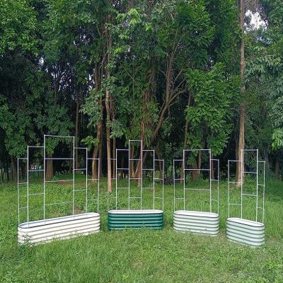 Cina 6.5ft*6ft Cucumber Metal Trellis For Raised Bed Metal Garden Trellis Avorio Bianco in vendita