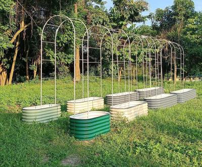Cina Strass di metallo resistente per giardini all'aperto per cetrioli in vendita