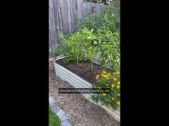 Planteurs de jardin en métal galvanisé robuste Facile à assembler Haute durabilité
