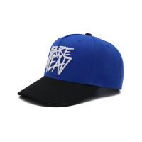 China Custom 3D Embroidered Letter 5 Panel Baseball Cap Blue Single Plastic Buckle 100 Cotton for sale