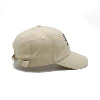 China ACE ACE0101 6 Panel Baseball Cap Cotton Adjustable Strap Custom Size for sale