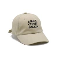China ACE ACE0101 6 Panel Baseball Cap Cotton Adjustable Strap Custom Size for sale
