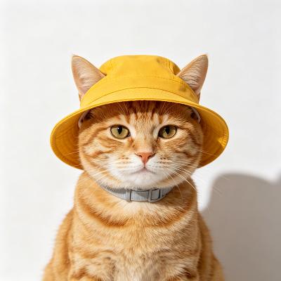 China Cotton Cozy Cat Cap Featuring Velcro Strap Closure Perfect for Professional Pet Care Veterinary Hospitals and Retailers for sale