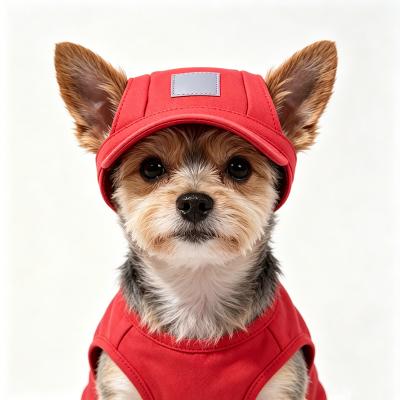 China Washable Pet Hat Hand Wash Recommended 50 Grams Lightweight Comfortable Durable Stylish Protective Headwear Ideal for Pets for sale