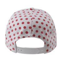 China Plain Print Baseball Cap Custom/Baseball Cap Manufacturer for sale
