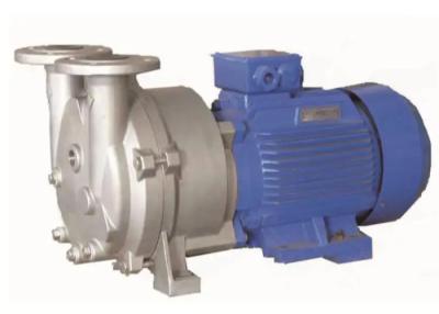 Cina 2bv acqua Ring Vacuum Pump For Paper che fa industria chimica in vendita