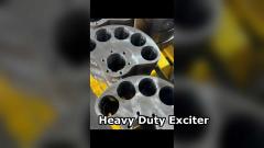 Heavy Duty Vibrating Screen Exciter for Mining & Aggregate Screening Plants