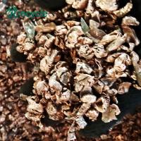 China Copper Radiator Separator Machine Copper Scrap Recycling Plant for sale