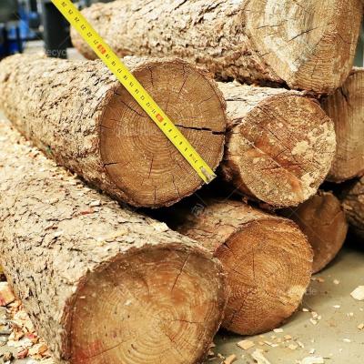 China 15-20T/H Capacity Diesel Tree Branch Shredding Machine Wood Pulverizer Wood Pallet Crusher for sale