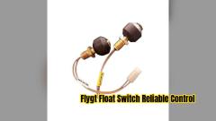 FLYGT Float Switch
