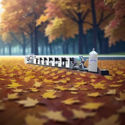 Китай ТИП FLEXOGRAPHIC СТРУКТУРА БЛОКА YT-4-650 ЛЕПЕСТКА ПЕЧАТНОЙ МАШИНЫ ДЕЛАЯ ПЛИТУ ИЗМЕНЯЯ CONVINIENT И БЫСТРО 2023 НОВЫЙ РЕЖИМ продается