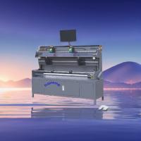 China Flexo Plate Automatic Mounting Machine More Efficiency Mounter For Flexographic Printing Easy Operation for sale