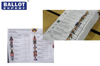 Cina Colore di scheda elettorale di voto eliminabile 70g su misura per la campagna elettorale in vendita