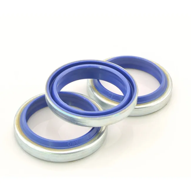 China Supplier Mechanical Shaft FKM FPM Rubber Oil Seal Ring Lip Seal Machinery Seal