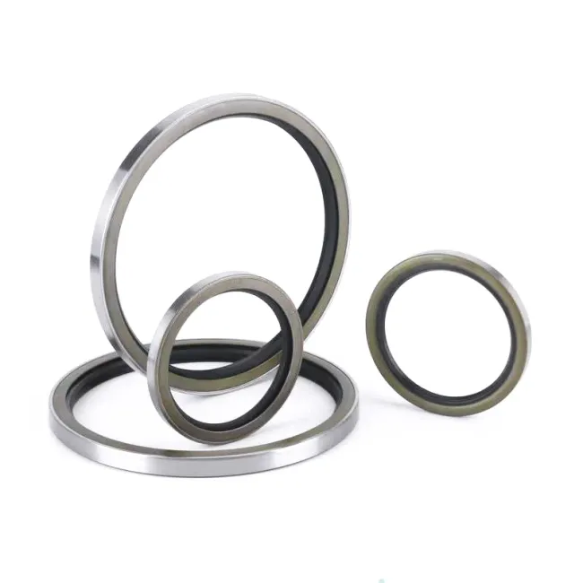 China Supplier Mechanical Shaft FKM FPM Rubber Oil Seal Ring Lip Seal Machinery Seal