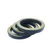 Cina TCN Oil Seal con O-Ring Skeleton Seal e Combination Washer in vendita