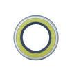 Cina TCN Oil Seal con O-Ring Skeleton Seal e Combination Washer in vendita