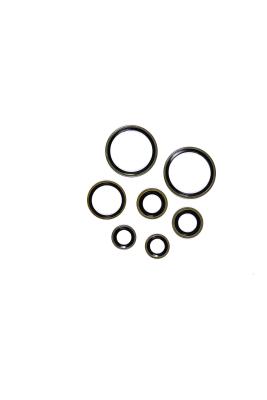 China BSP-zegel van roestvrij staal EPDM-rubber NBR-gebonden zegel Imperial Te koop