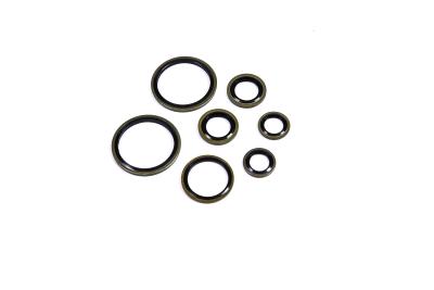 China BSP-zegel van roestvrij staal EPDM-rubber NBR-gebonden zegel Imperial Te koop