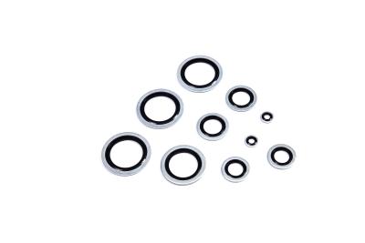 China BSP-zegel van roestvrij staal EPDM-rubber NBR-gebonden zegel Imperial Te koop