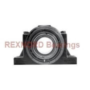 China REXNORD 6017 ZZ Single Row Ball Bearings for sale