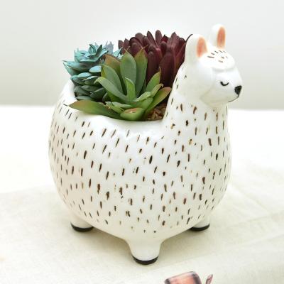 중국 10 인치 세라믹 꽃 냄비 플랜터 동물 꽃 냄비 수풀 식물 냄비 식물 증식 판매용